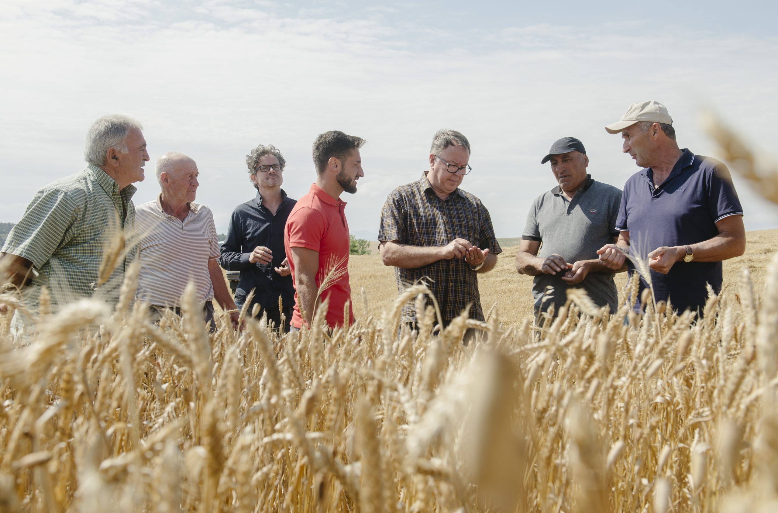 Georgian farmers increase yields and lower costs with new ...