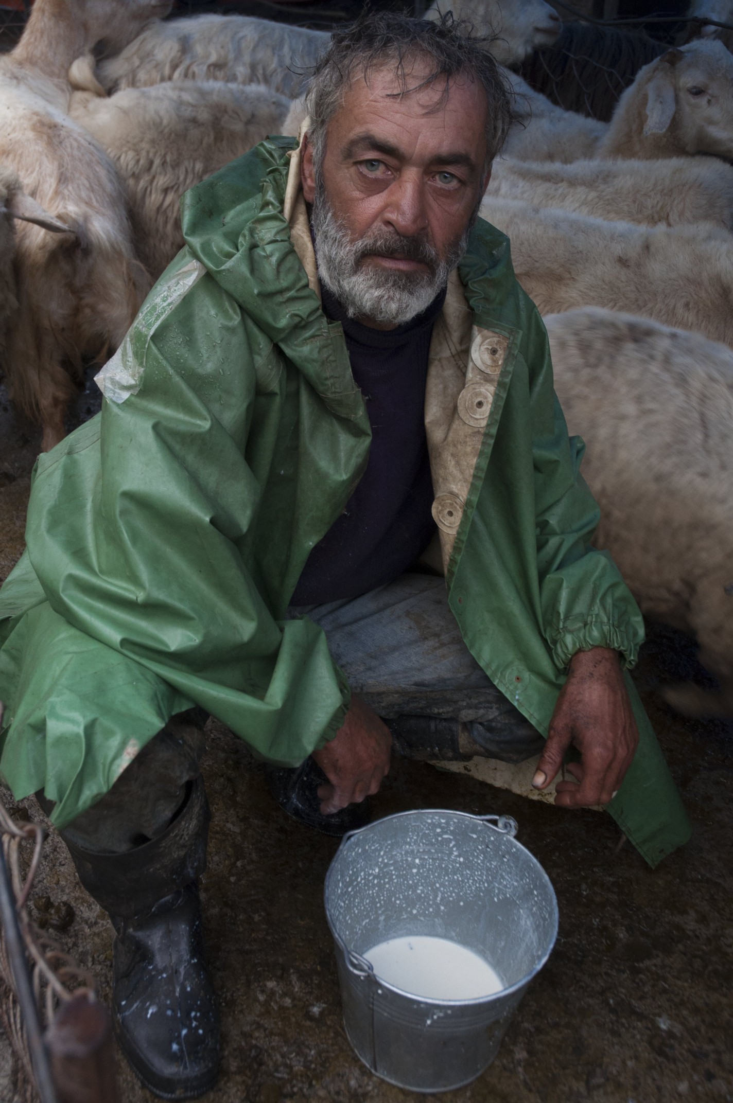 Tradition of Guda Cheese Production Comes Alive in Tusheti with EU ...
